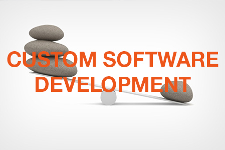 Pros & Cons of Custom Software Development | Elinext Blog