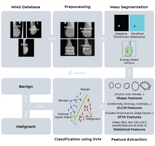 AI in Medical Image Analysis: How Reliable Is It? | Elinext Blog