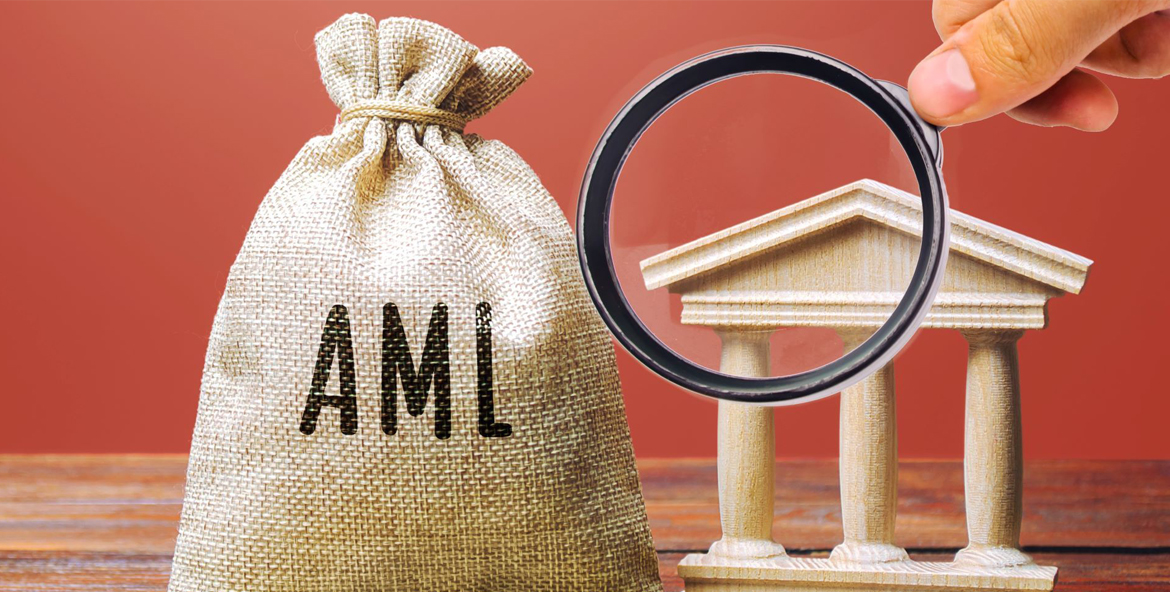 AML Software: The Ultimate Guide for 2025 - Elinext Blog